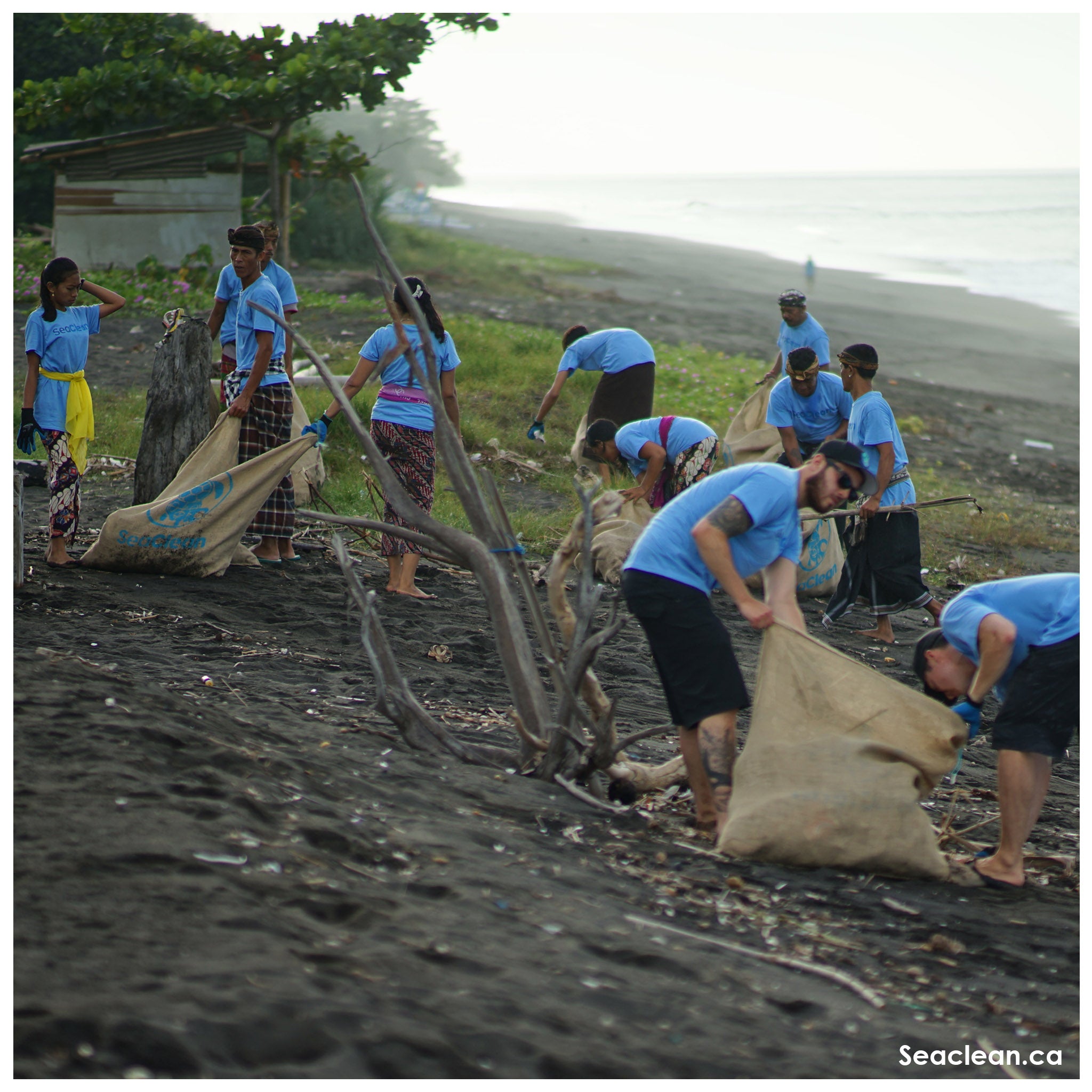 Sea Clean | Help us clean our oceans. Join the movement!
